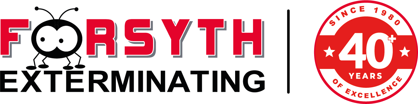 Atlanta Pest Control Services | Effective Pest Solutions